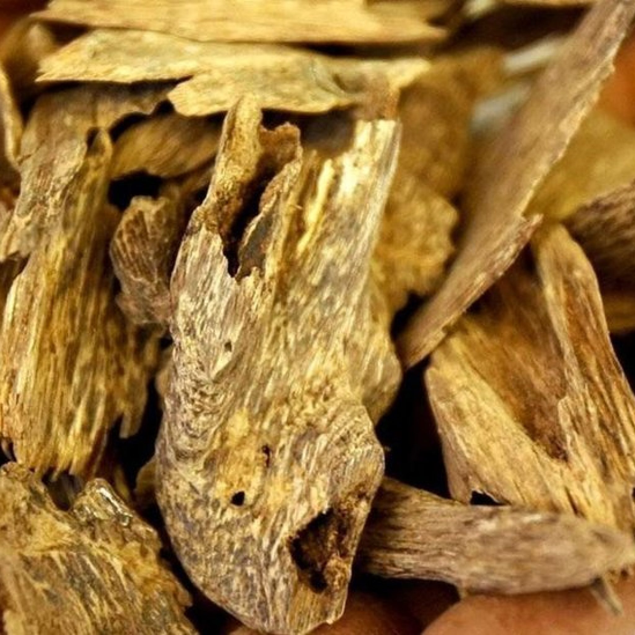 Kynam: a madeira mais cara do mundo é criada por envenenamento ...